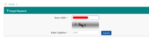 EPFO Password Change | UAN Member E-SEWA portal – EPFGuide